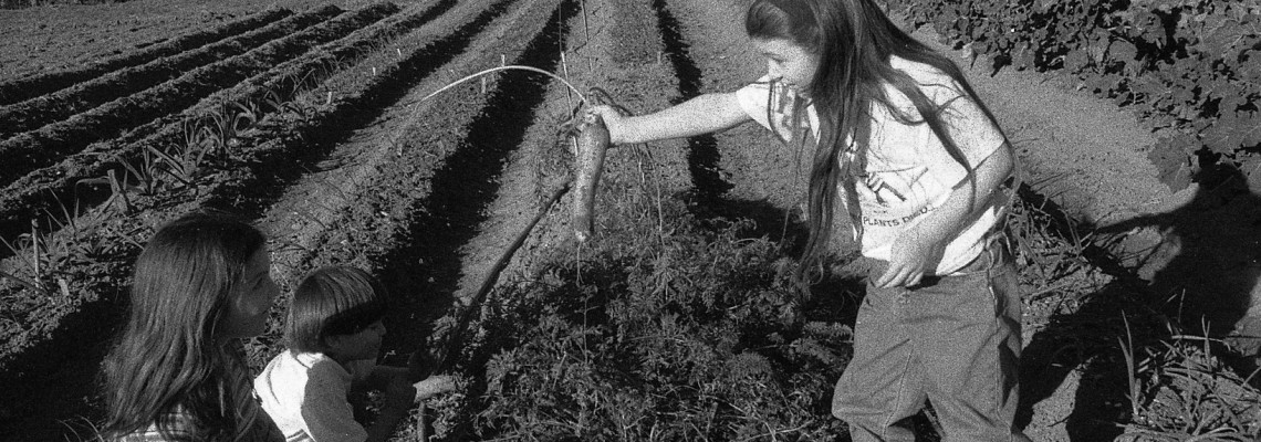 Geoff Jansz – Sow Grow Prepare Share